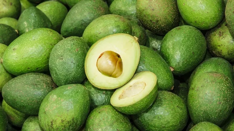 Bơ bao nhiêu calo? Tìm hiểu giá trị dinh dưỡng của trái bơ